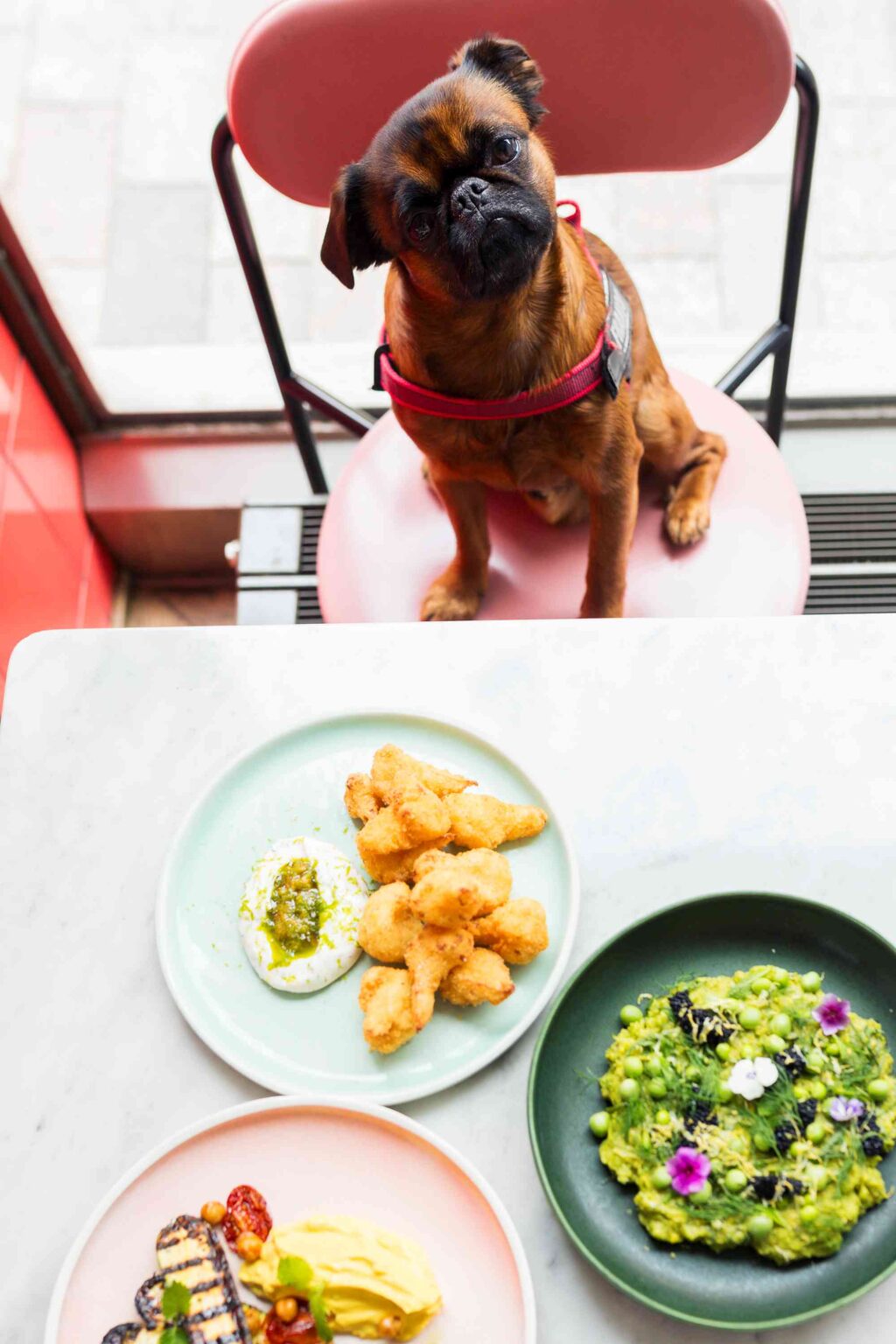 YesYesYes Menus – Seasonal Vegetarian Food : Yes Yes Yes